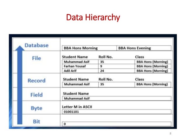 Overview of Data Base Systems Concepts and Architecture