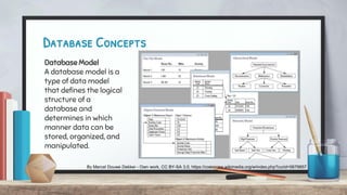 Database Management System | PPT