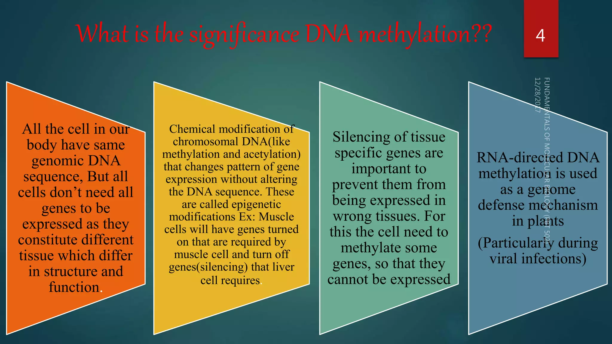 RNA directed DNA methylation (RdDM) | PPTX