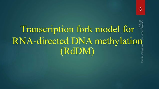 RNA directed DNA methylation (RdDM) | PPTX
