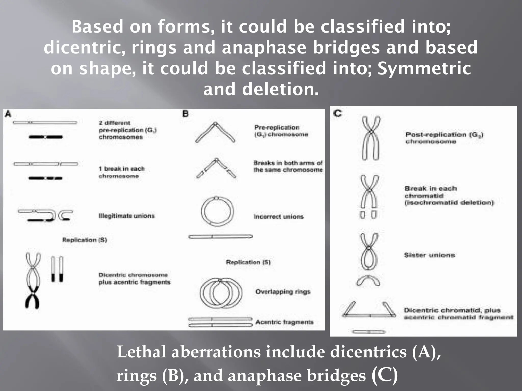 Fetal irradiation and classification of radiation damage.pptx
