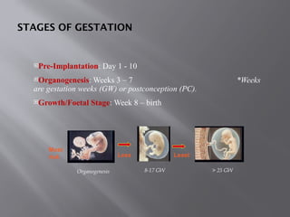 Fetal irradiation and classification of radiation damage.pptx