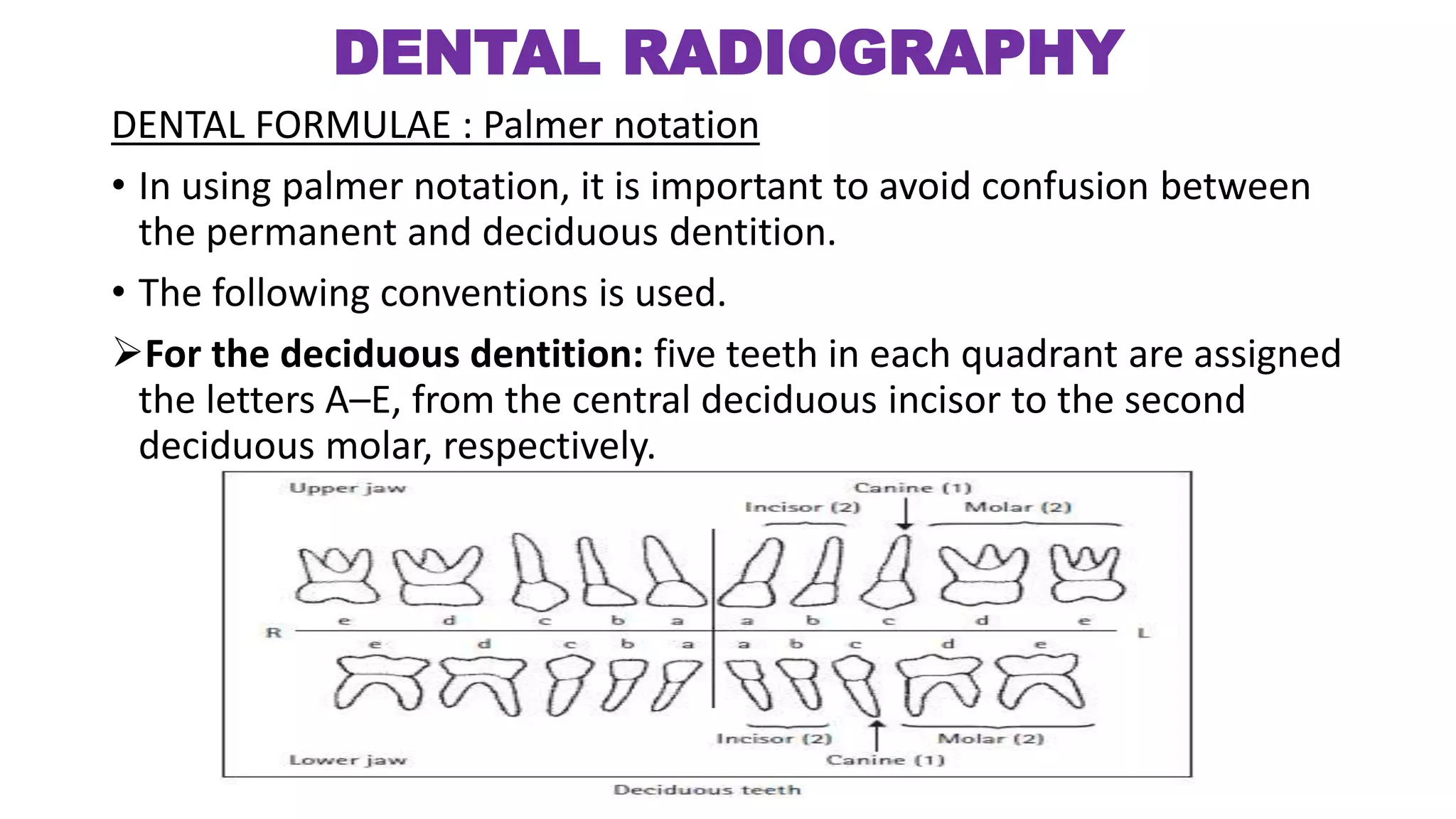 rdg4011stsem-dentalradiography-180219135013.pdf