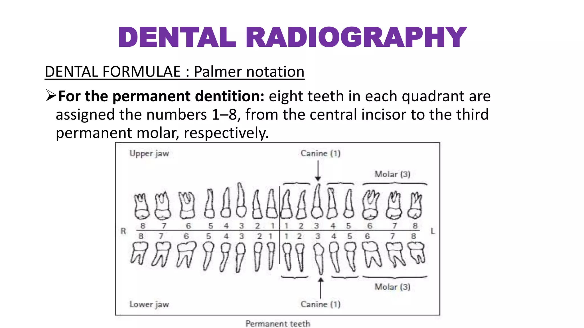 rdg4011stsem-dentalradiography-180219135013.pdf