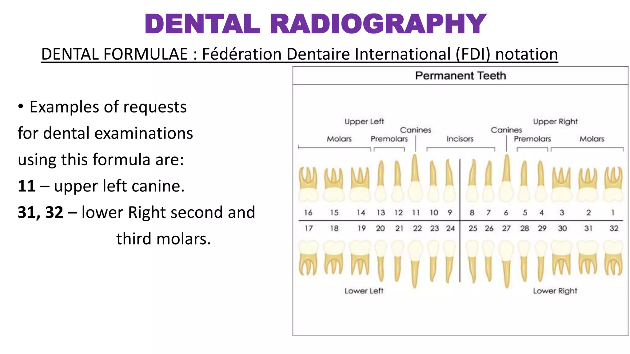 Dental radiography | PPTX