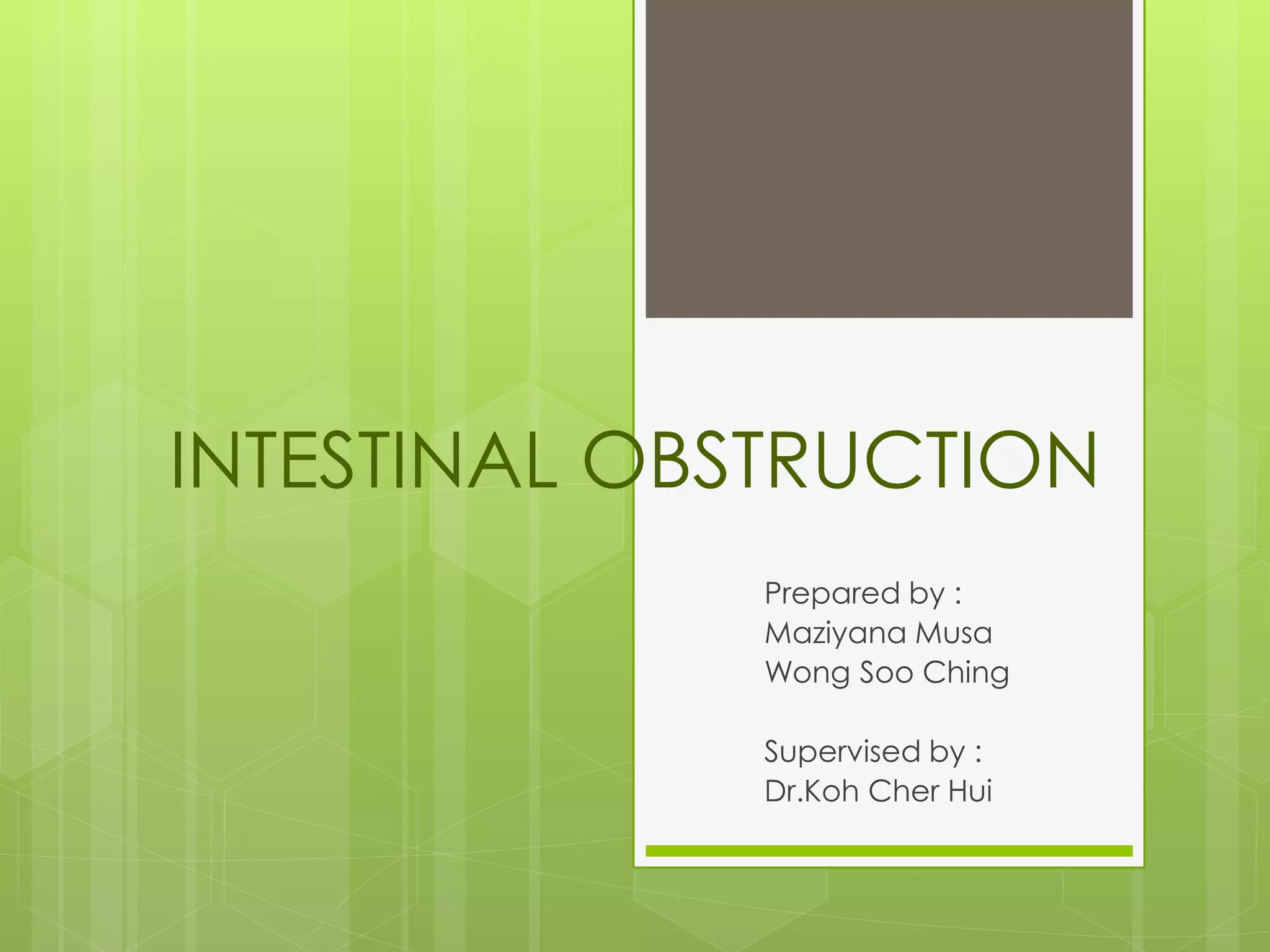 Intestinal Obstruction | PPT