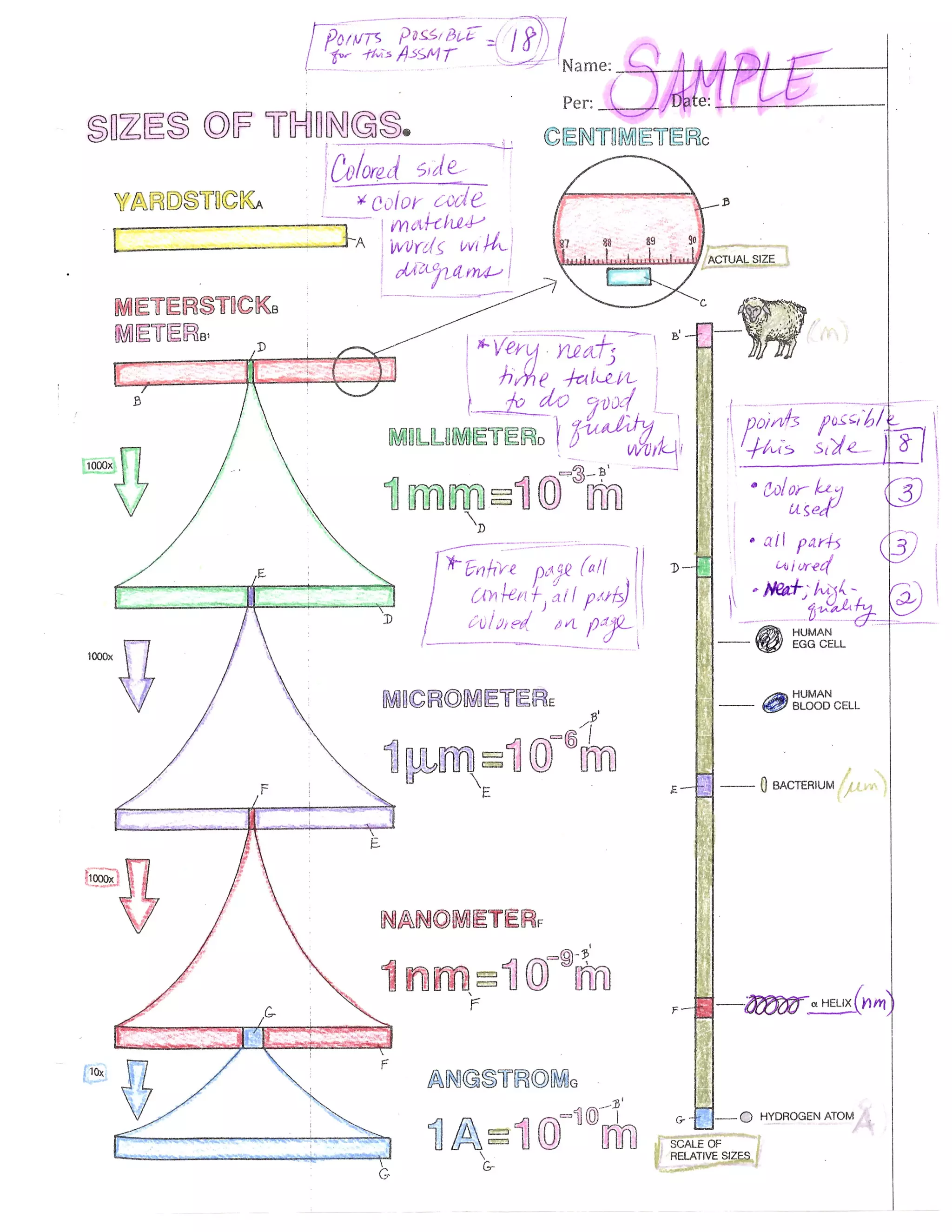 Rdg wkst sample | PDF