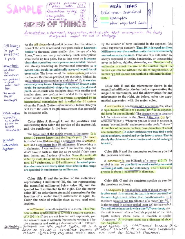 Rdg wkst sample | PDF