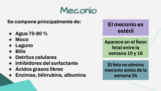 SÍNDROME DE ASPIRACIÓN MECONIAL Y ATELECTASIA | PDF