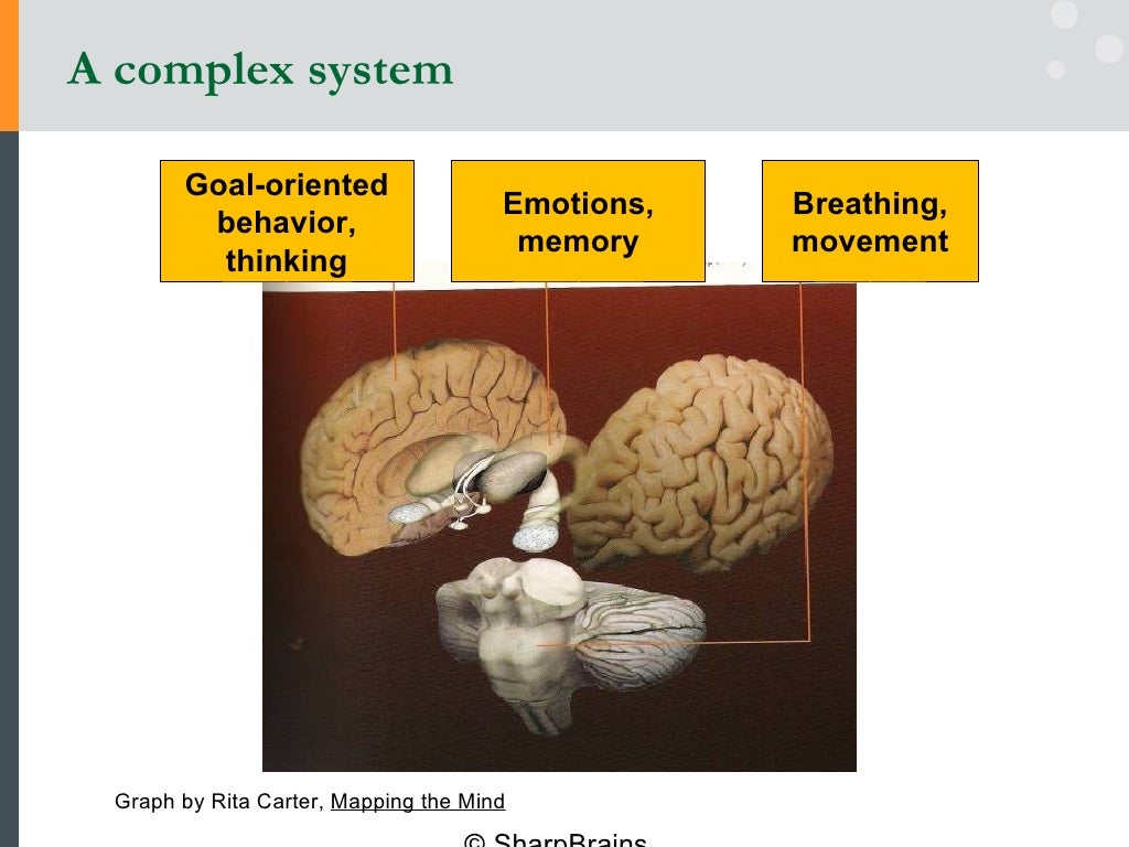 A complex system Breathing, movement