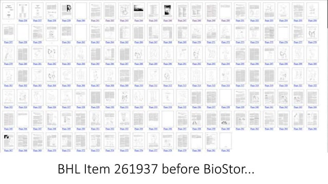 BioStor Next | PPT