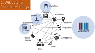 Wikidata and the Biodiversity Knowledge Graph | PPTX