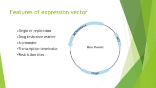 Expression and purification of recombinant proteins in Bacterial and ...