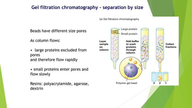 Expression and purification of recombinant proteins in Bacterial and ...