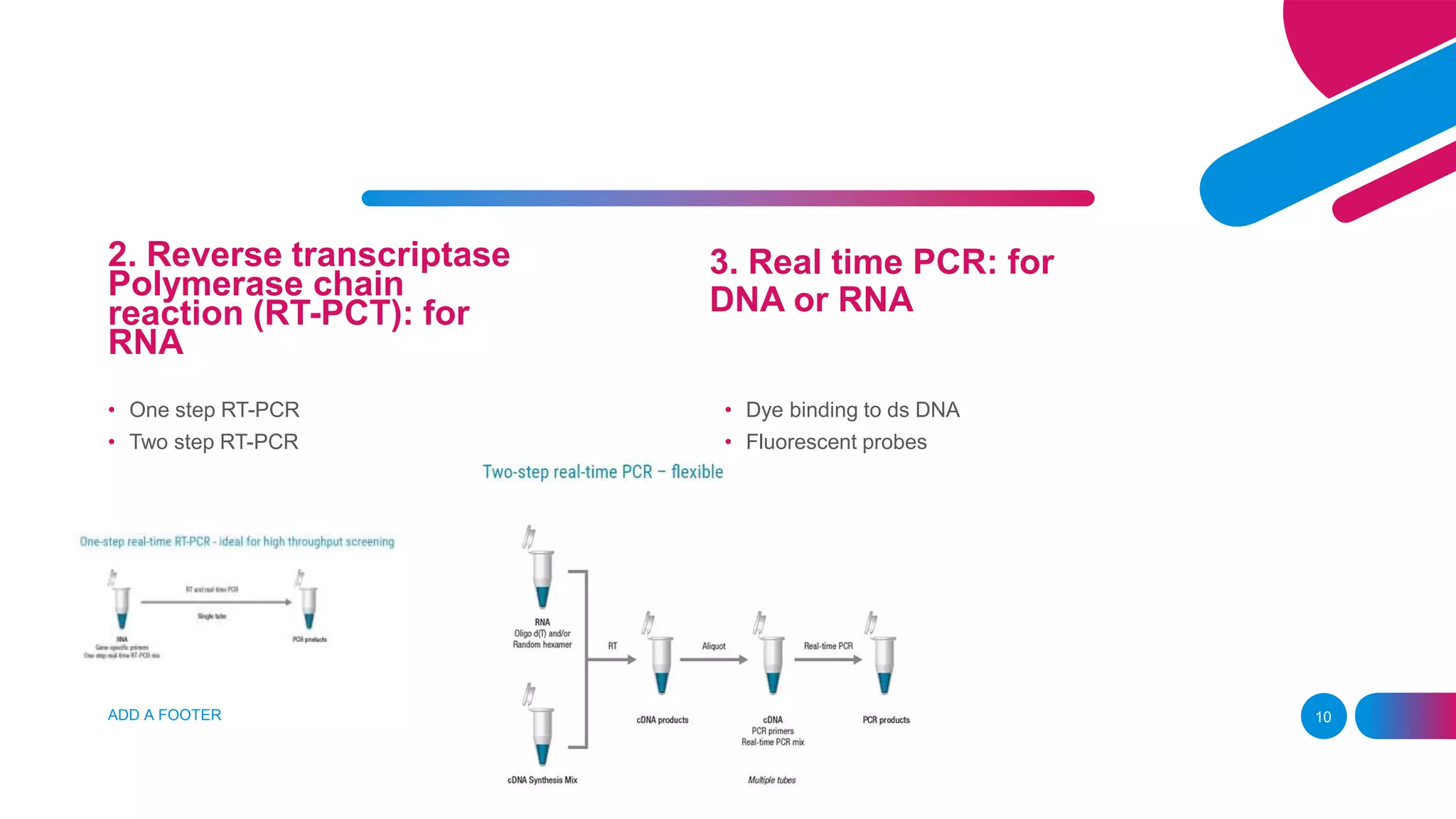rdna - pcr | PPTX
