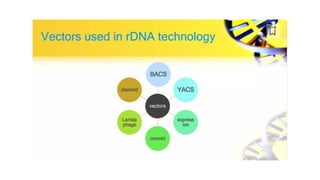 rDNA Boyer and Cohen contribution to rna technology.pptx