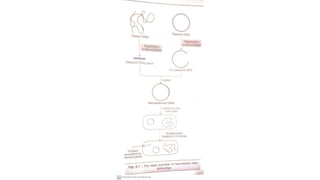 rDNA Boyer and Cohen contribution to rna technology.pptx