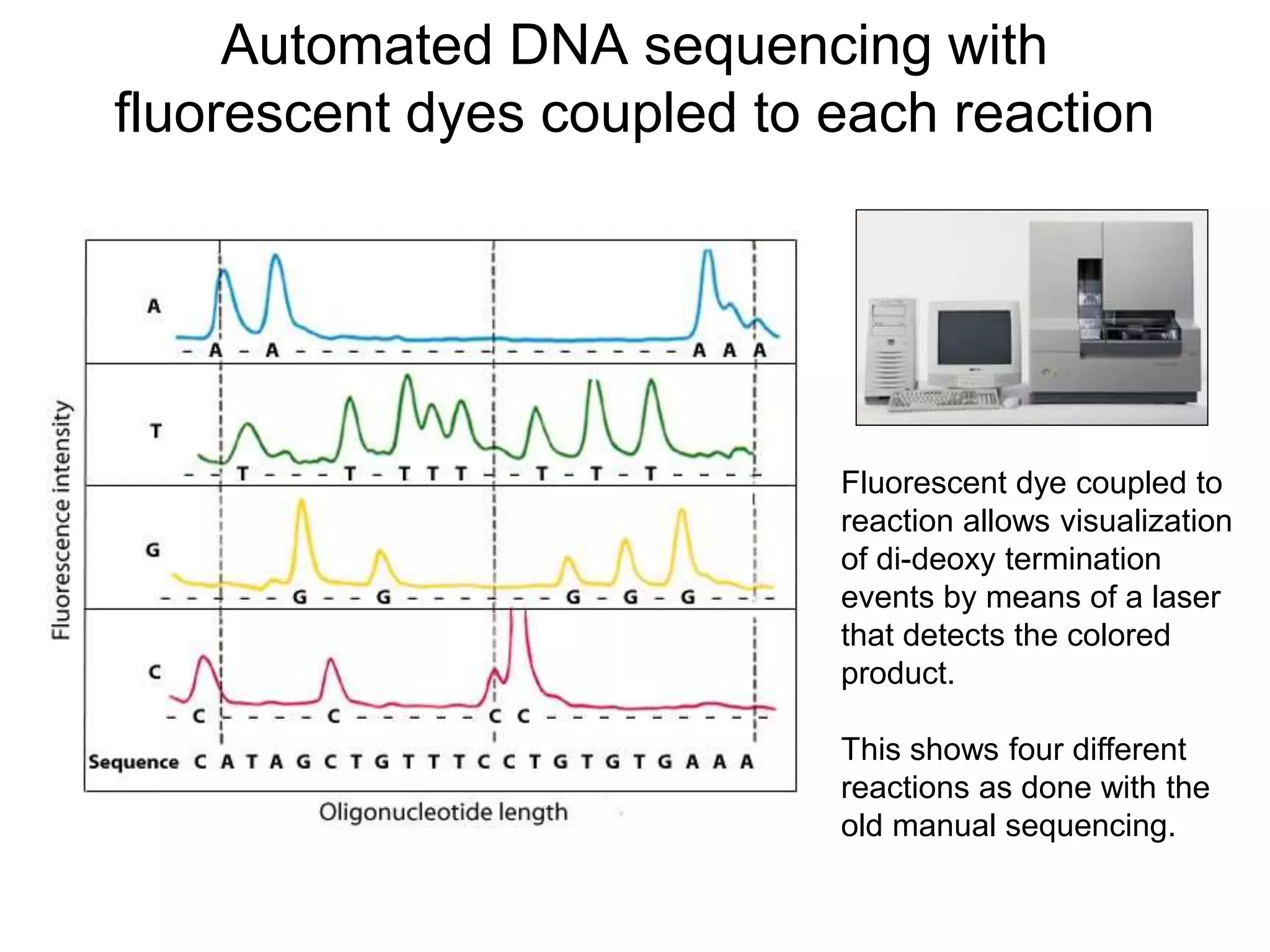 rDNA detailed.ppt