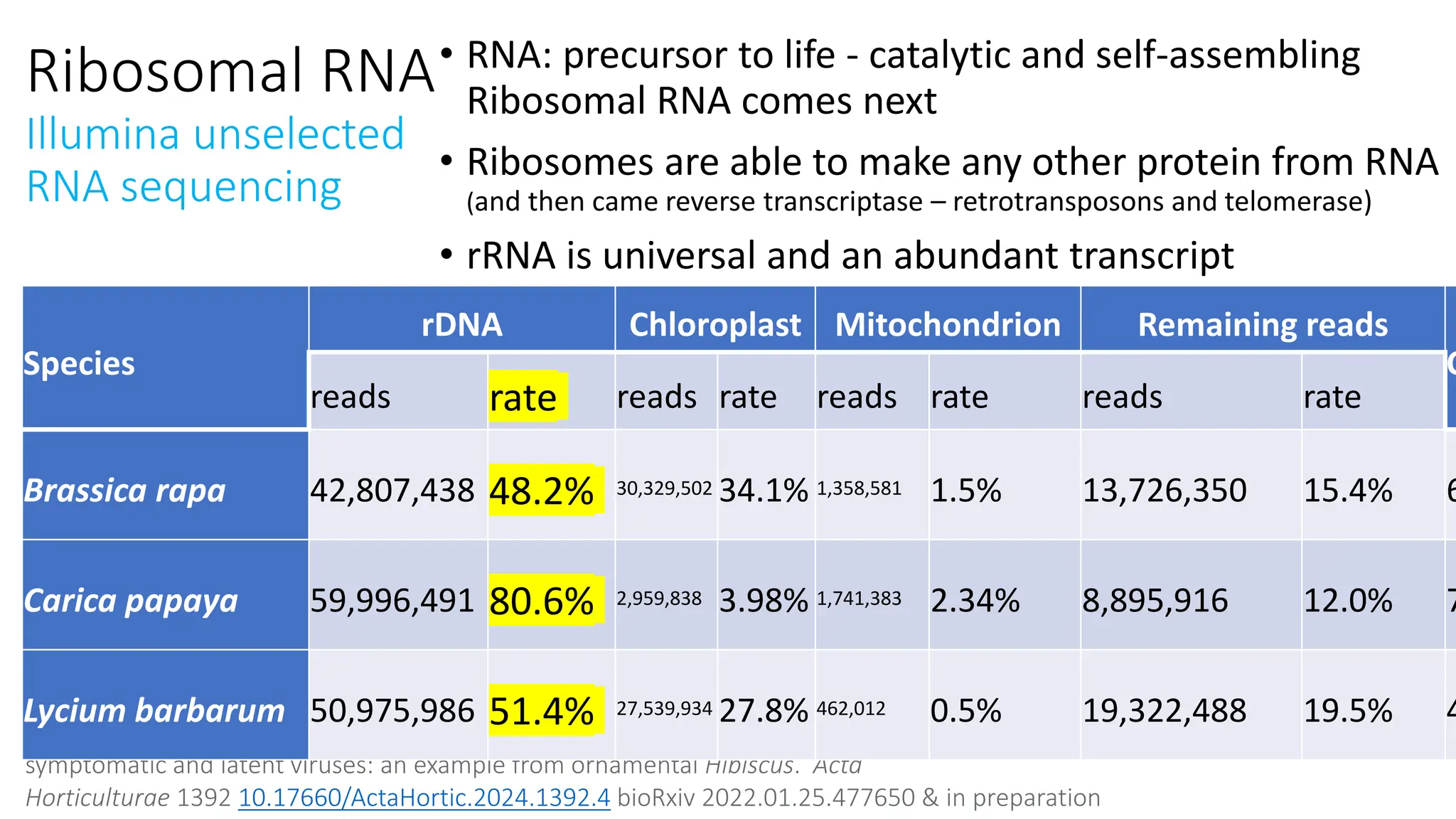 Ribosonal DNA Organization and Evolution at Large Scale IBC2024 | PPT