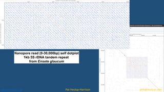 Ribosomal DNA rDNA rRNA Organization and Evolution at Large Scale ...