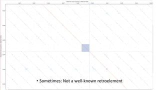 Ribosomal DNA rDNA rRNA Organization and Evolution at Large Scale ...
