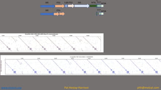 Ribosomal DNA rDNA rRNA Organization and Evolution at Large Scale ...