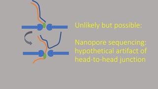 Ribosomal DNA rDNA rRNA Organization and Evolution at Large Scale ...