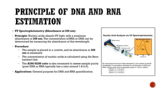 rDNA Technology, Oligonucleotide therapy and Principle of RNA & DNA ...