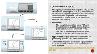 rDNA Technology, Oligonucleotide therapy and Principle of RNA & DNA ...
