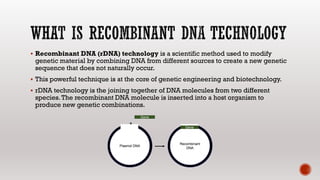 rDNA Technology, Oligonucleotide therapy and Principle of RNA & DNA ...