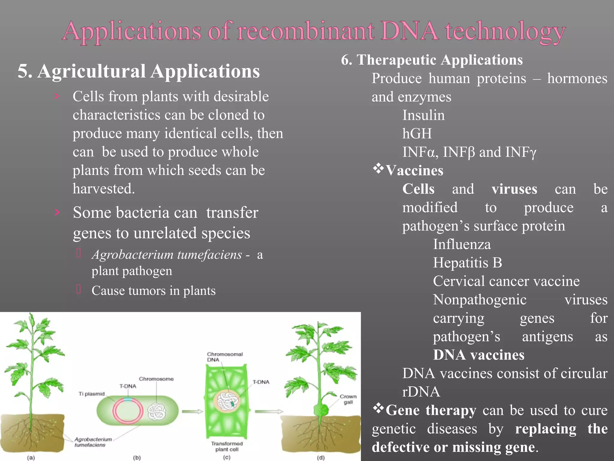 Rdna ppt presntation | PPT
