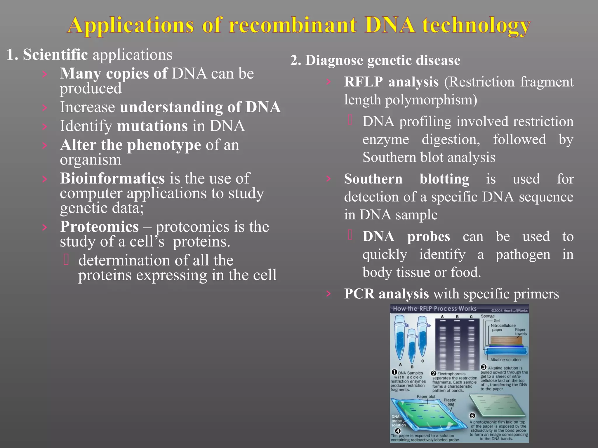 Rdna ppt presntation | PPT