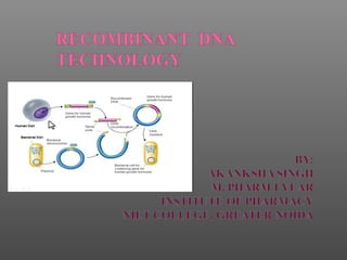 Rdna ppt presntation | PPT