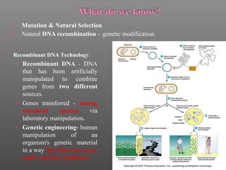 Rdna ppt presntation | PPT
