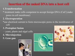 Rdna ppt presntation | PPT