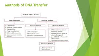 Recombination DNA Technology (Microinjection) | PPTX