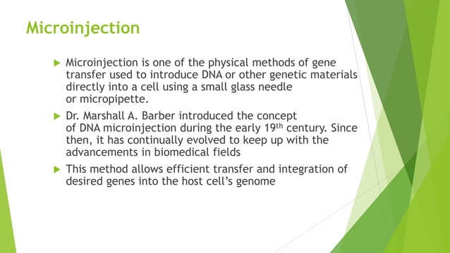 Recombination DNA Technology (Microinjection) | PPTX | Biological ...