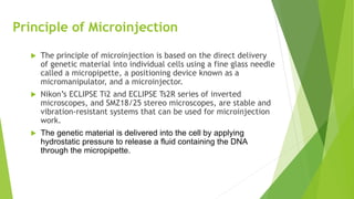 Recombination DNA Technology (Microinjection) | PPTX