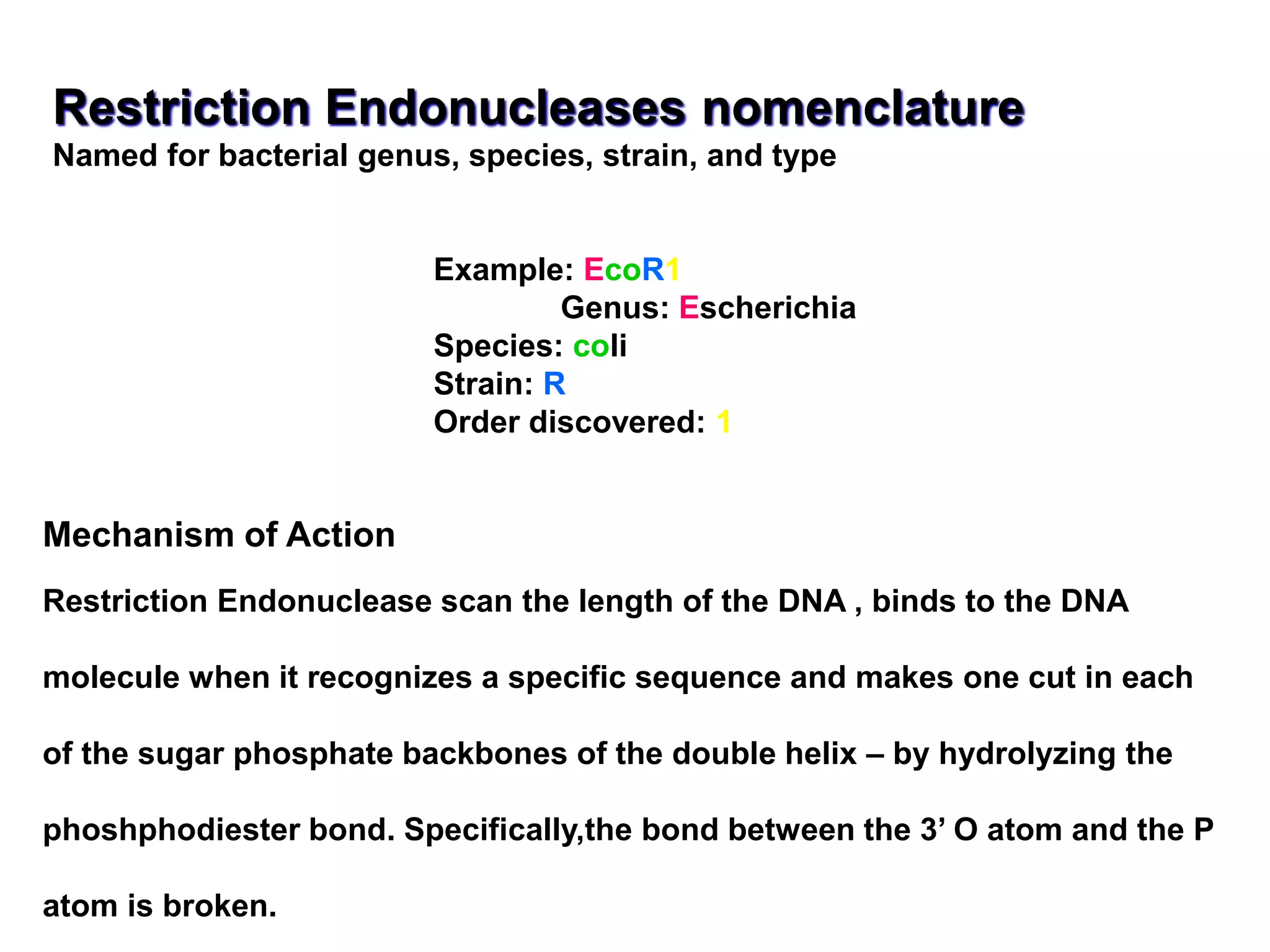 Recombinant Dna technology, Restriction Endonucleas and Vector | PPT