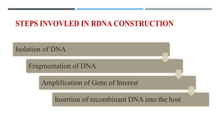 rDna technology | PPT