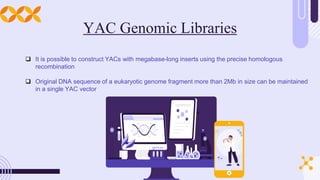 Yeast Artificial Choromosome | PPTX