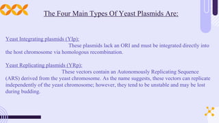 Yeast Artificial Choromosome | PPTX