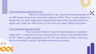 Yeast Artificial Choromosome | PPTX