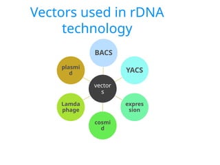 RDNA TECHIQUE.pptx pharmacology cell and molecular biology | PPT