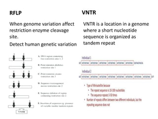 Recombinant DNA Technology | PPTX | Biotech and Biomedical Industry ...