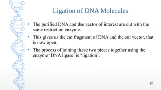 R DNA Technology | PDF