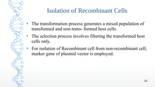 R DNA Technology | PDF