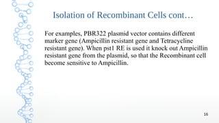 R DNA Technology | PDF