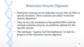 R DNA Technology | PDF