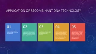 rDNA Technology | PPTX